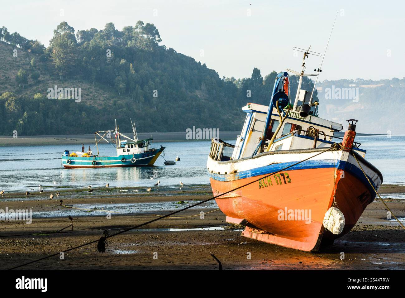 Stranded boats at low tide, Dalcahue, Chiloé Island, Patagonia, Republic of Chile, South America ...