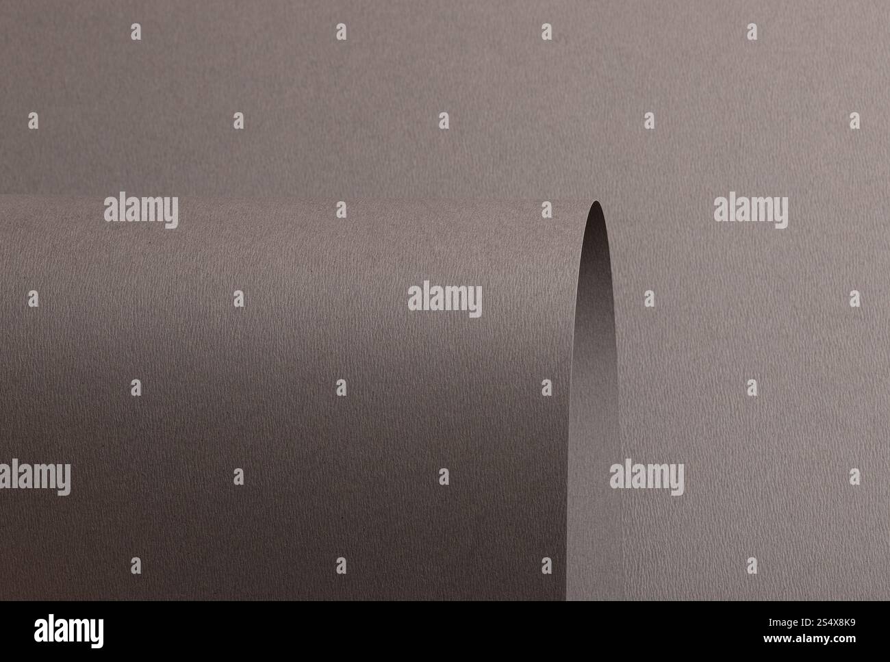 Taupe paper background with a soft, grainy texture and subtle curves ...