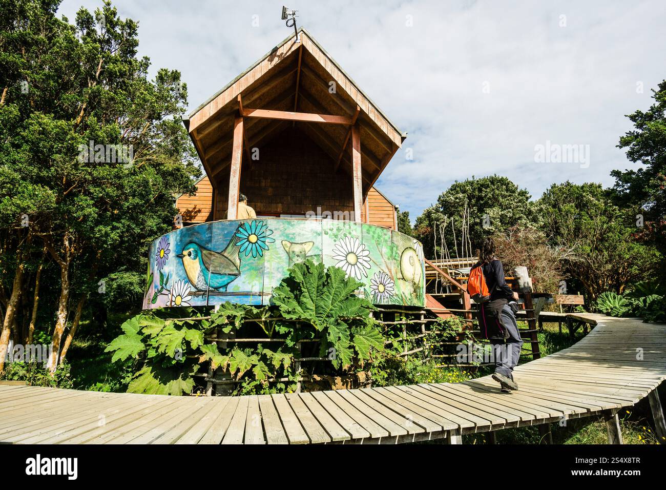Chiloé National Park, Cucao, coastal mountain range, Chiloé Islands ...