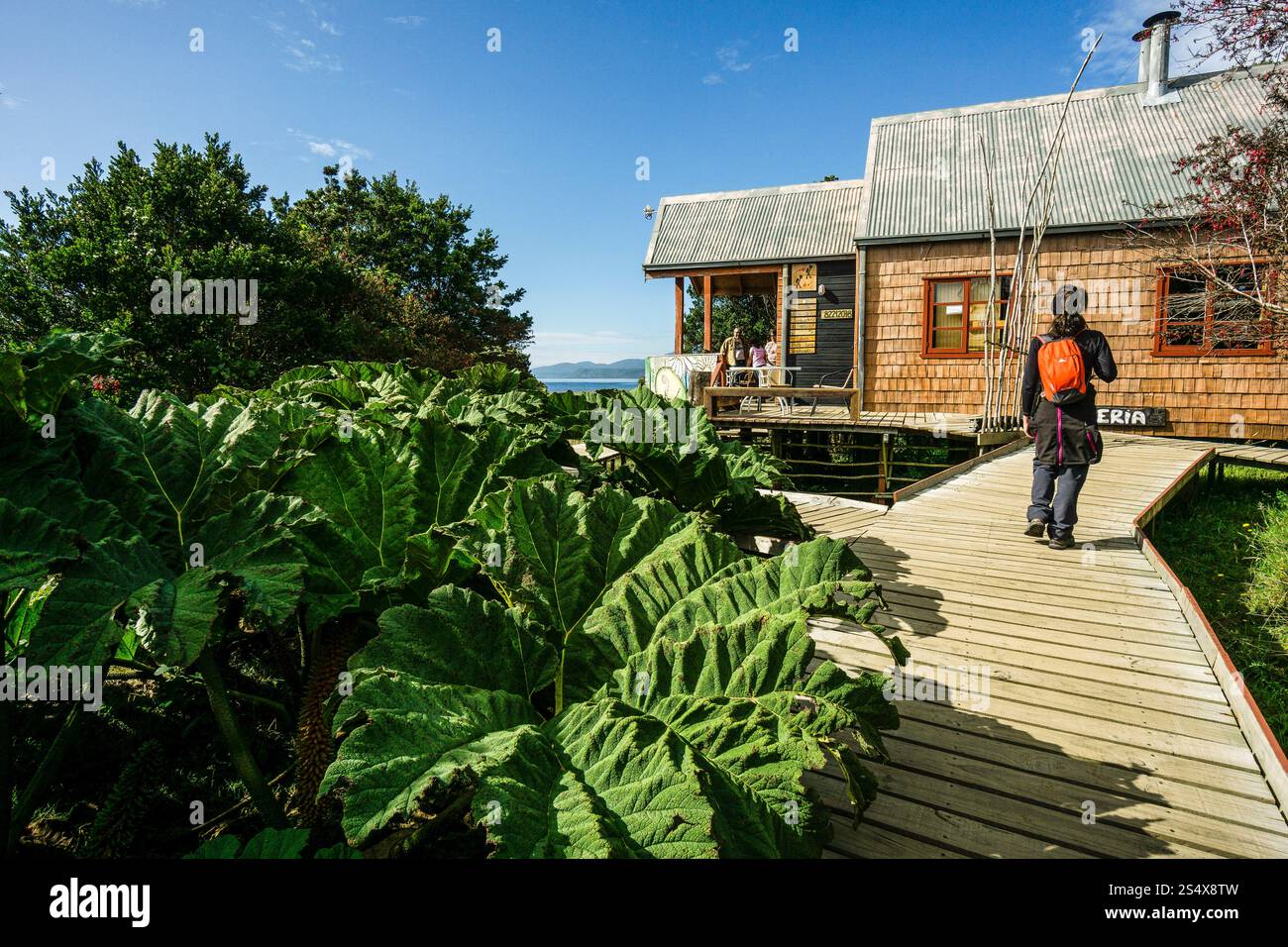 Chiloé National Park, Cucao, coastal mountain range, Chiloé Islands ...