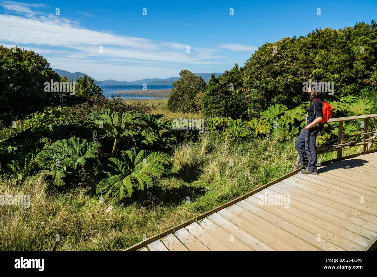 Chiloé National Park, Cucao, coastal mountain range, Chiloé Islands ...