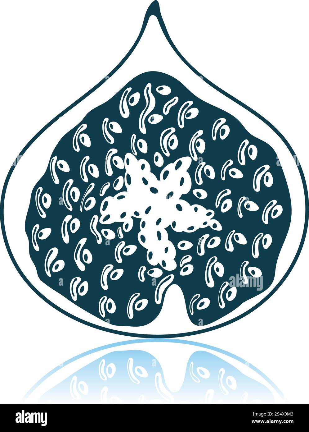 Icon Of Fig Fruit. Shadow Reflection Design. Vector Illustration Stock ...