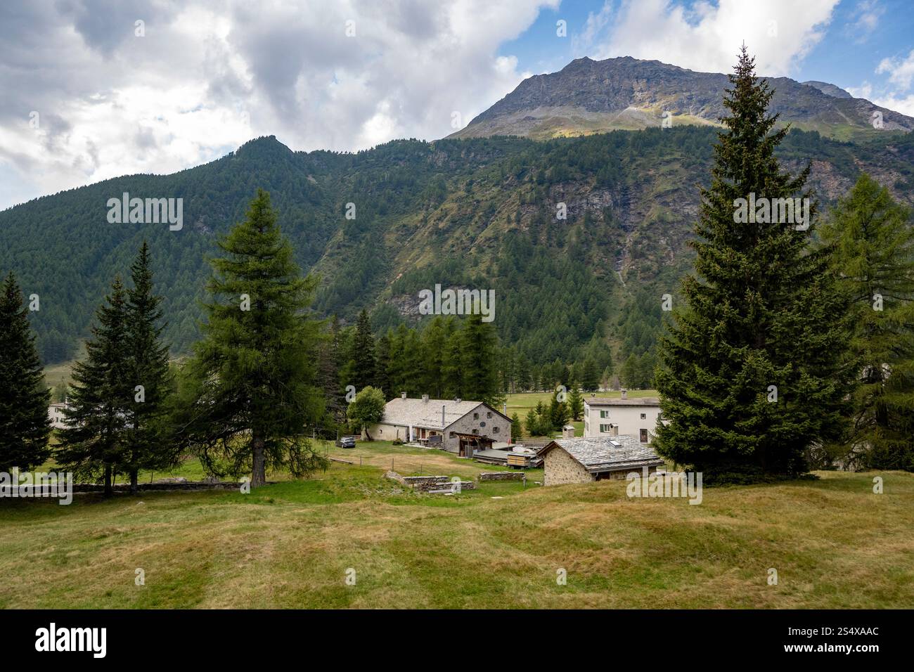 Farmhouse in the Swiss Alps (Bernina Region Stock Photo - Alamy