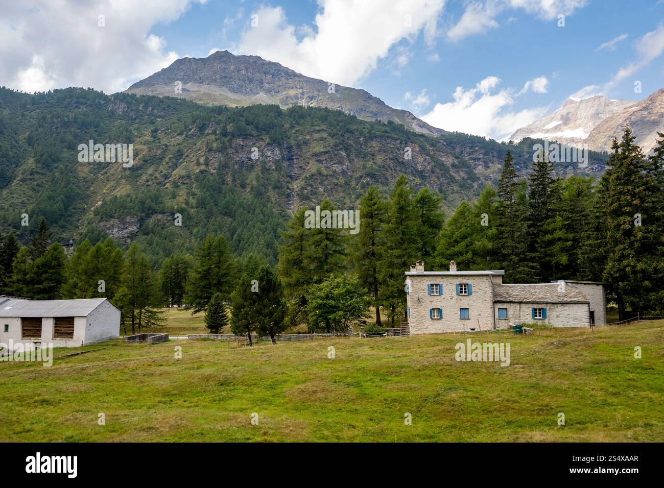 Farmhouse in the Swiss Alps (Bernina Region Stock Photo - Alamy