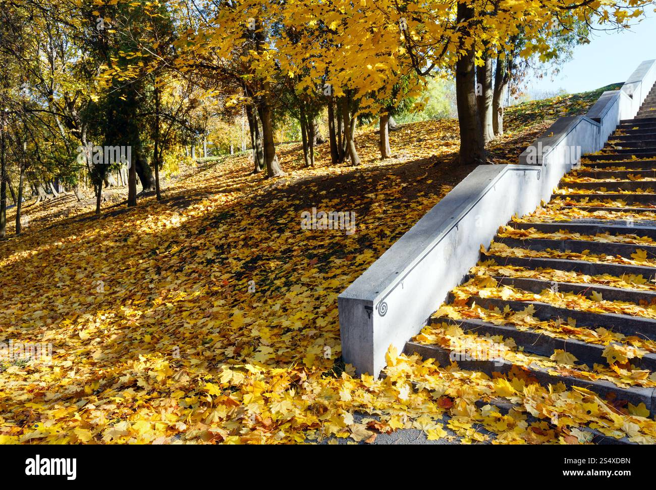 Leaf strewn stairs hi-res stock photography and images - Alamy
