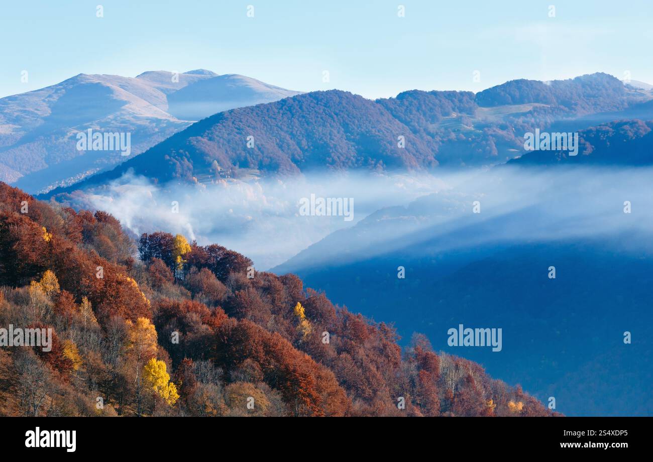 Colorful forest on autumn slope and clouds between the peaks Stock ...