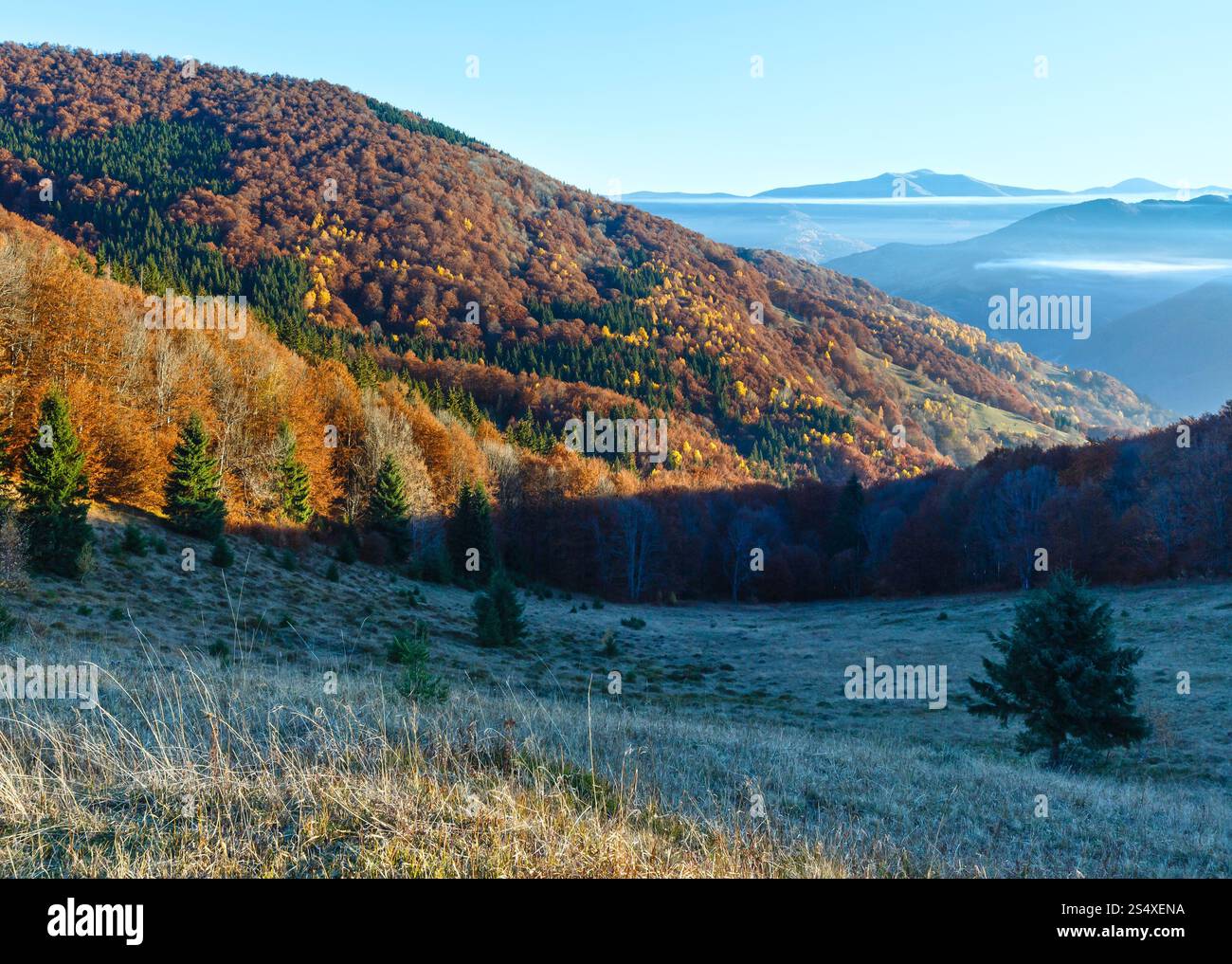 Colorful forest on autumn slope and clouds between the peaks Stock ...
