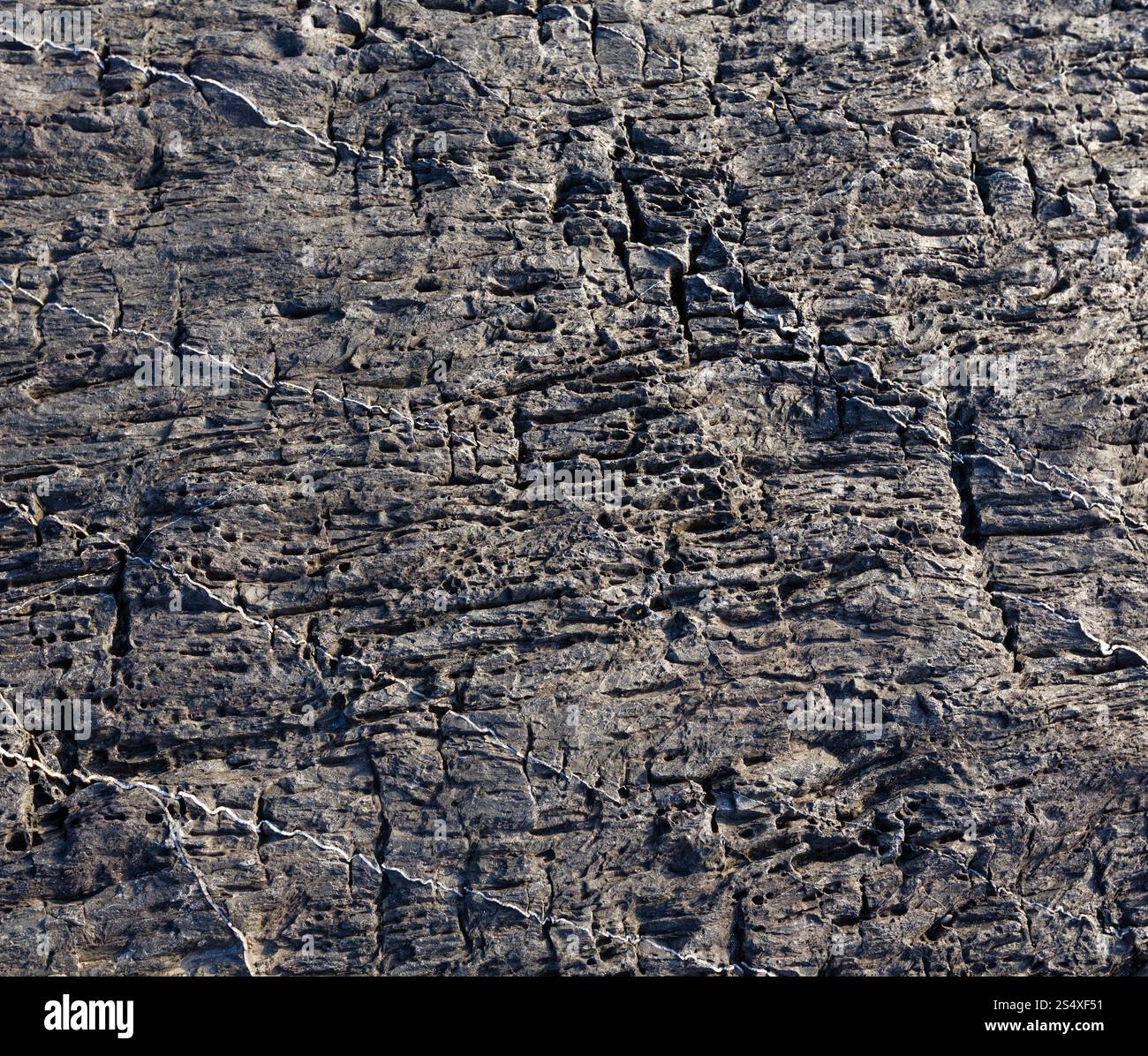 Part of rock closeup with white stripes of another geological material ...