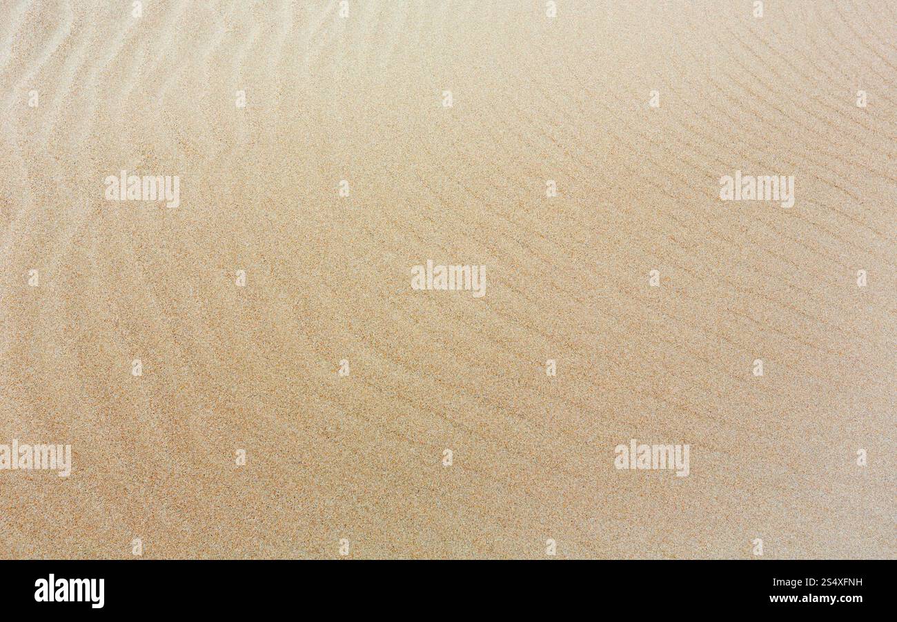 White sand background with barely visible waves after surf on beach ...