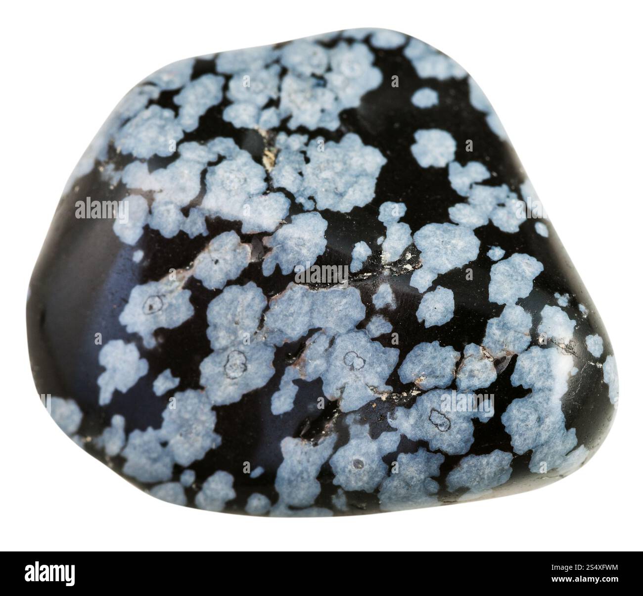 macro shooting of natural mineral stone - polished Gray snowflake ...