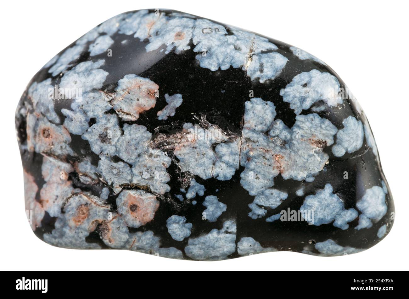 macro shooting of natural mineral stone - polished pebble of Gray ...