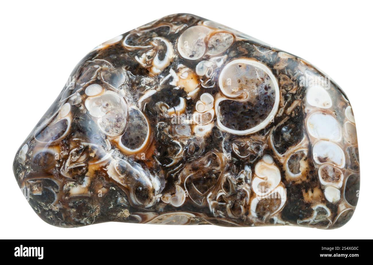 Orbicular jasper mineral stone hi-res stock photography and images - Alamy