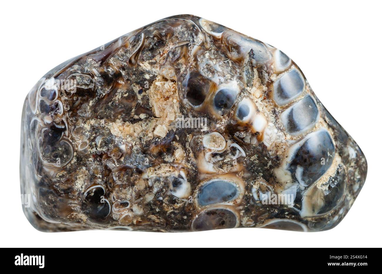 Orbicular jasper mineral stone hi-res stock photography and images - Alamy