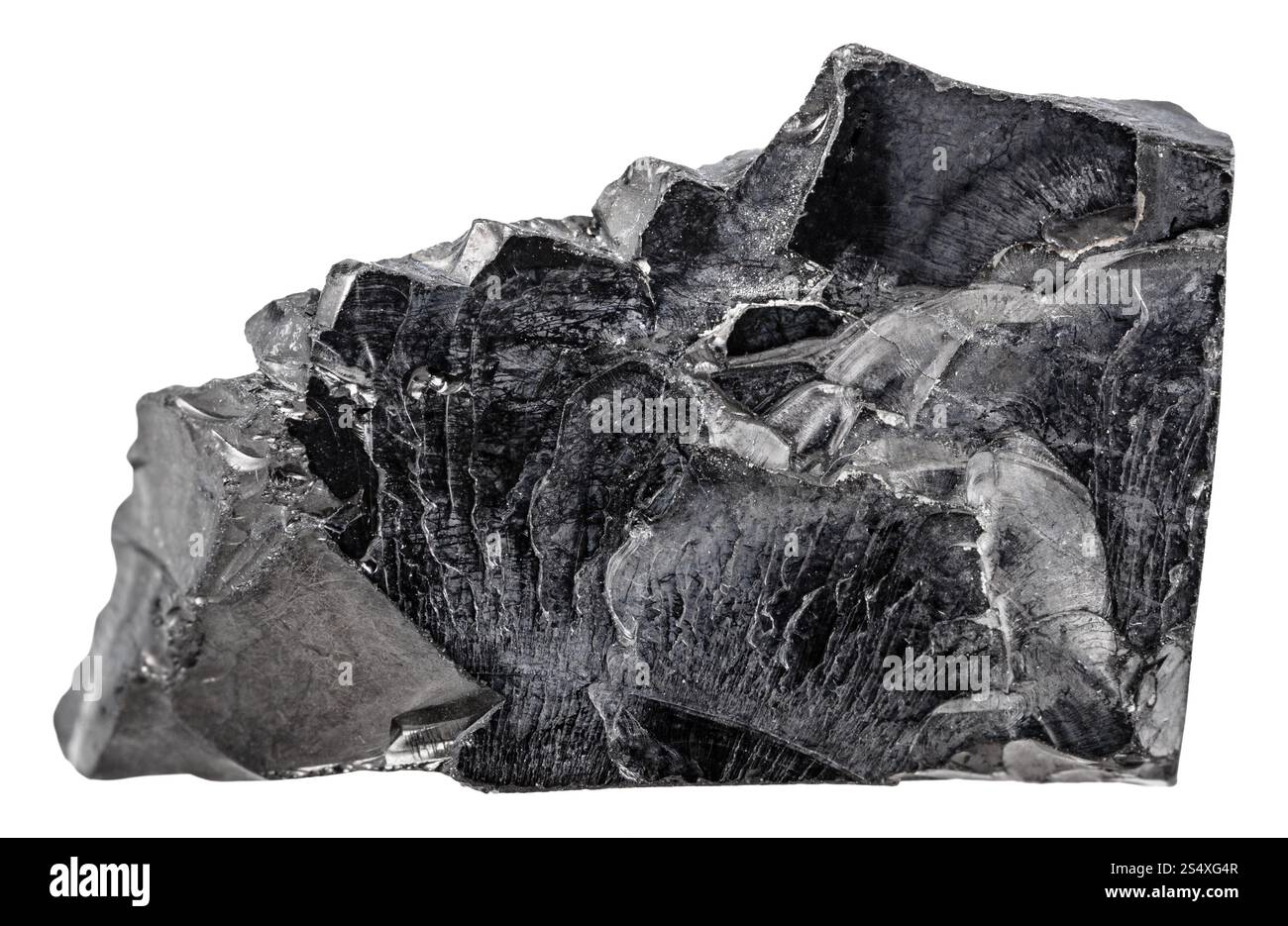 macro shooting of natural mineral stone - piece of raw shungite stone ...