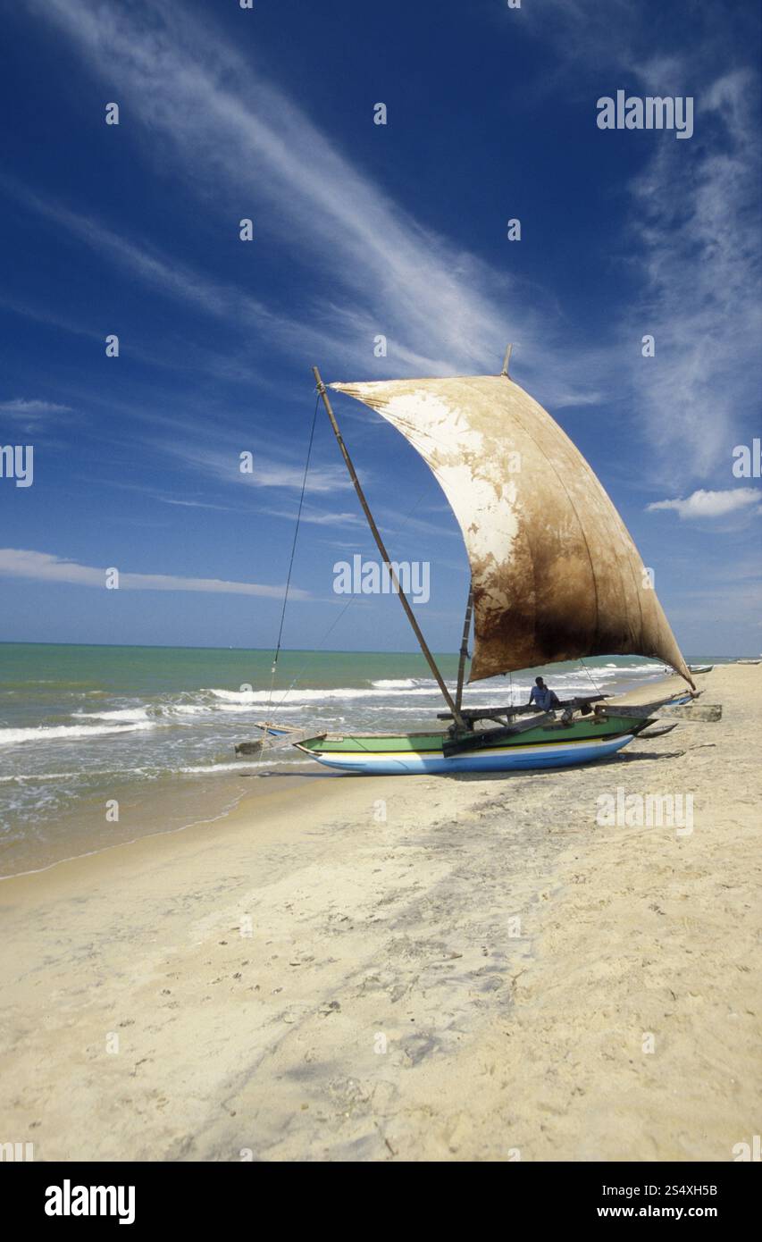 Dhoni Fishingboats at the coast of Nagombo at the westcoast of Sri ...