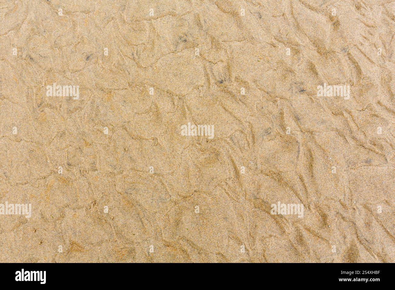 White sand background with barely visible waves after surf on beach ...