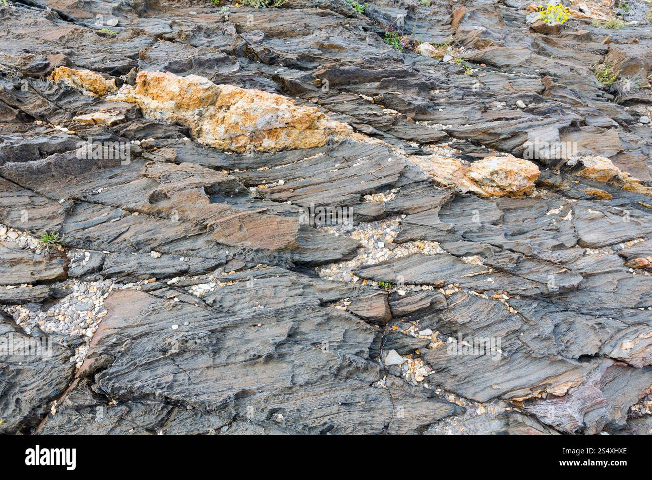 Yellow abstract nature hi-res stock photography and images - Alamy