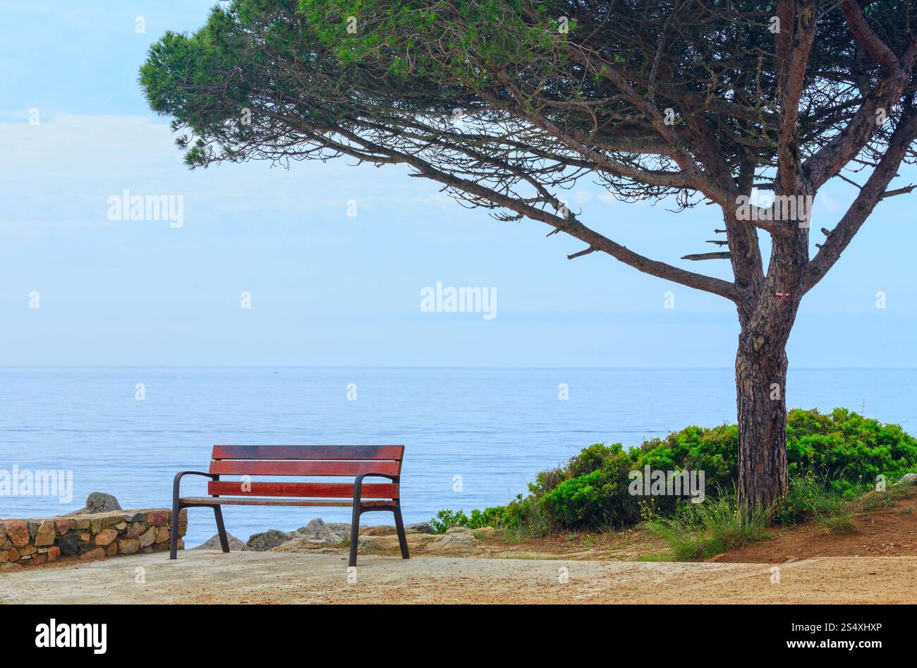 Summer seascape from observation area with bench and evergreen tree ...