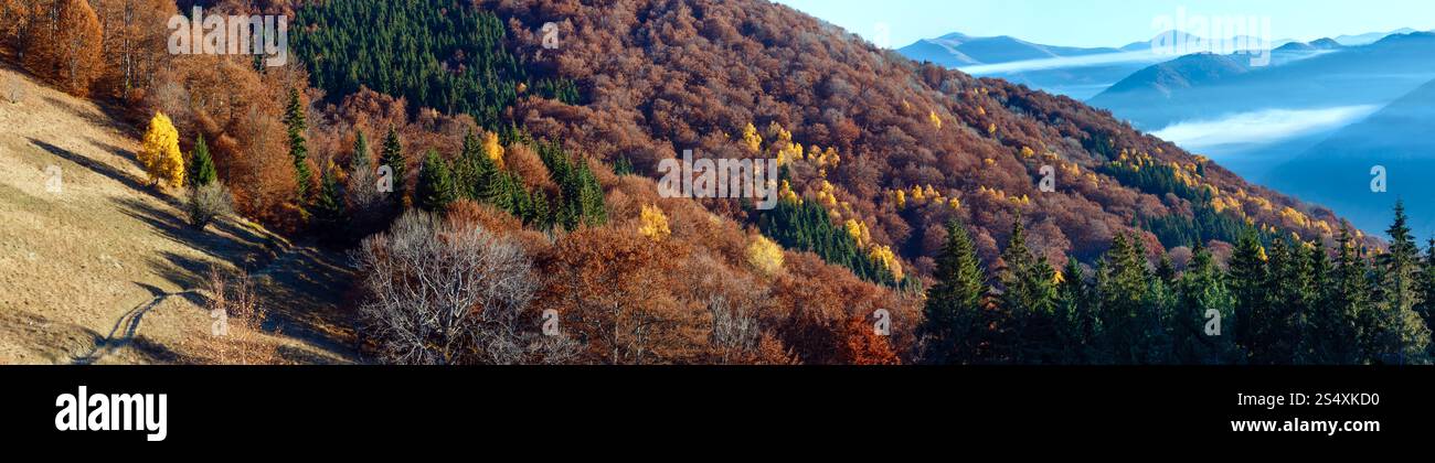 Autumn panorama trees in hi-res stock photography and images - Alamy
