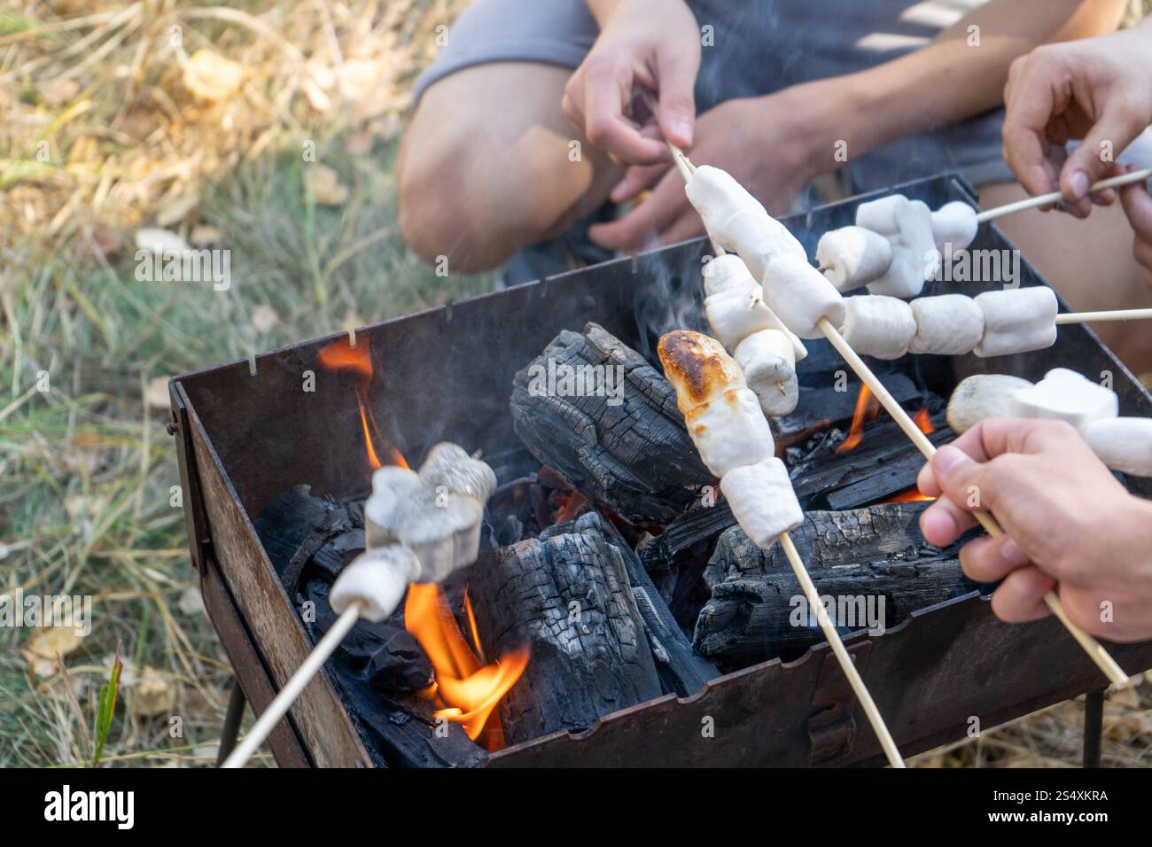 Roasting marshmallows over a campfire while camping. Hands of friends ...