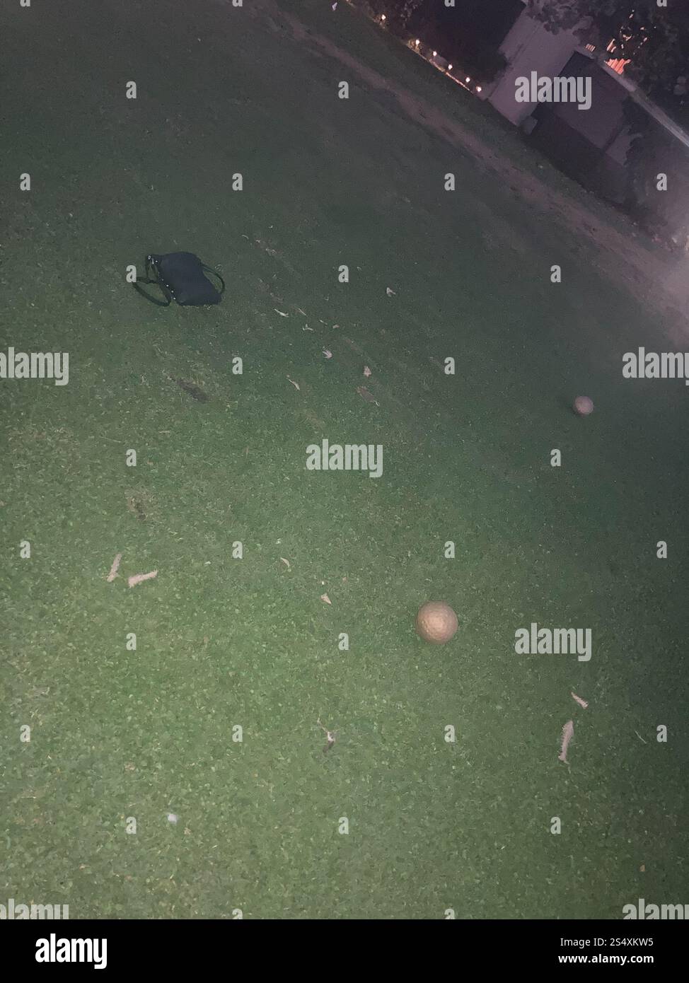 Ray-finned Fishes (Actinopterygii Stock Photo - Alamy