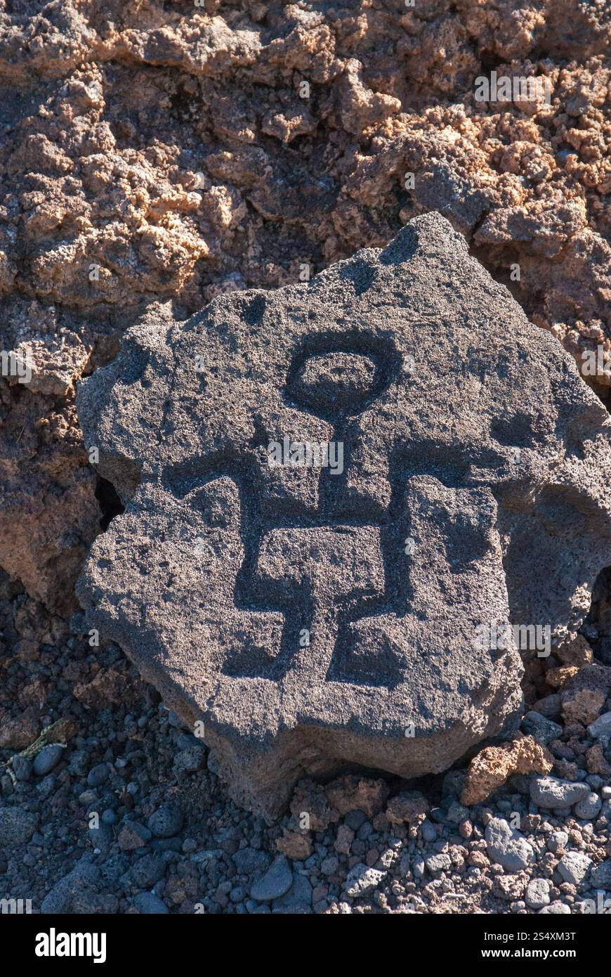 Ancient petroglyphs at Puako Petroglyph Archeological Preserve on the ...
