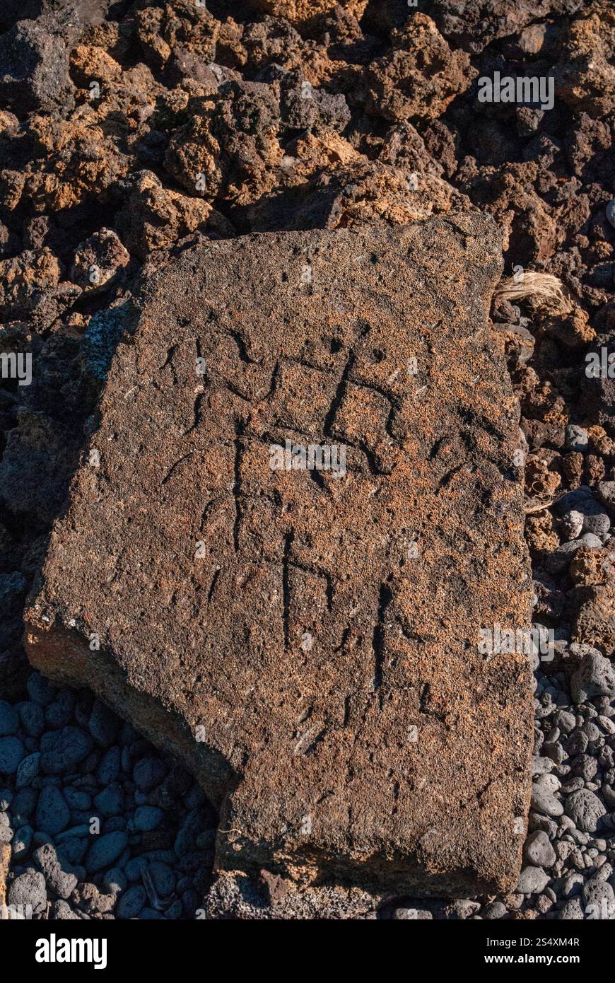 Ancient petroglyphs at Puako petroglyph Archeological Preserve on the ...