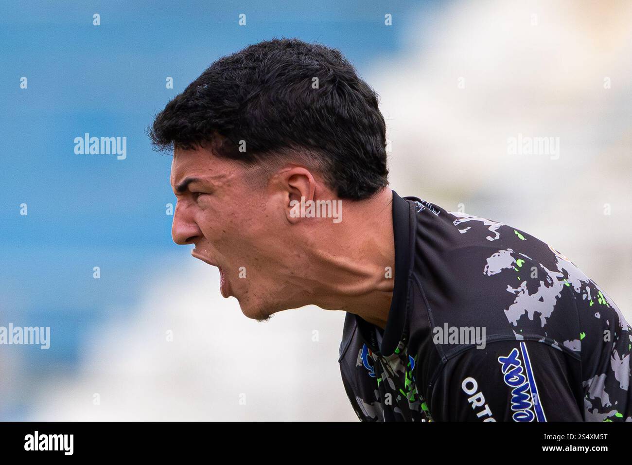 Goias 2025 brazil hi-res stock photography and images - Alamy