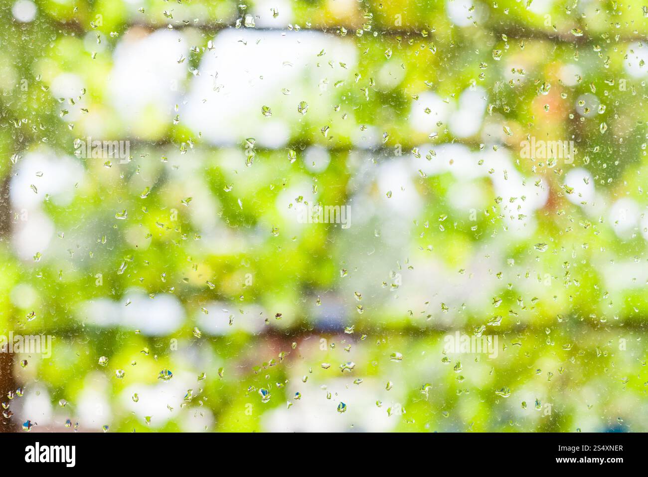 rain drops on window of cottage and blurred vineyard on background in ...