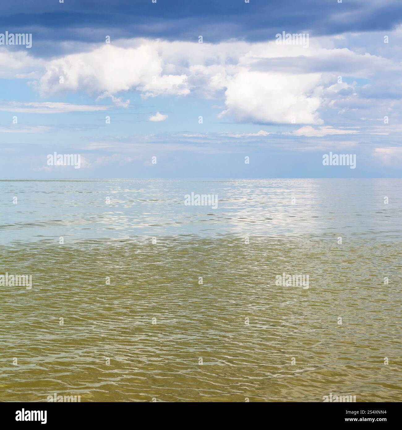 natural square background - Azov Sea seascape with calm green water and ...