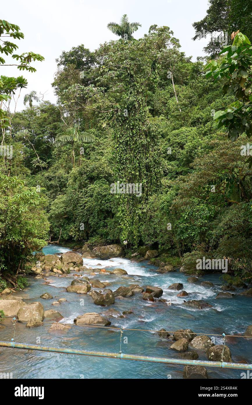 Alajuela Province, Costa Rica - November 19, 2024 - the Celeste river ...
