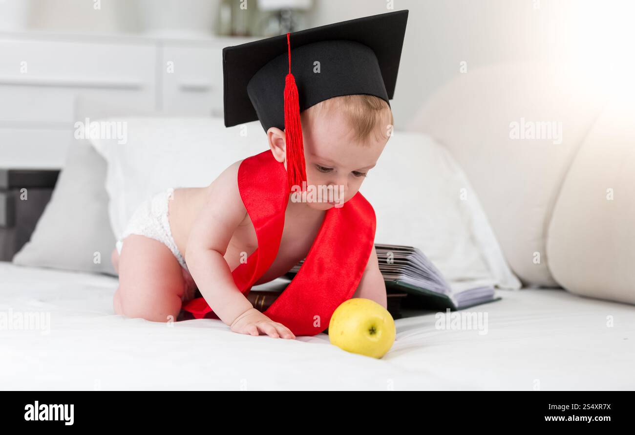 Prodigy baby in graduation cap and red ribbon reaching for apple Stock ...
