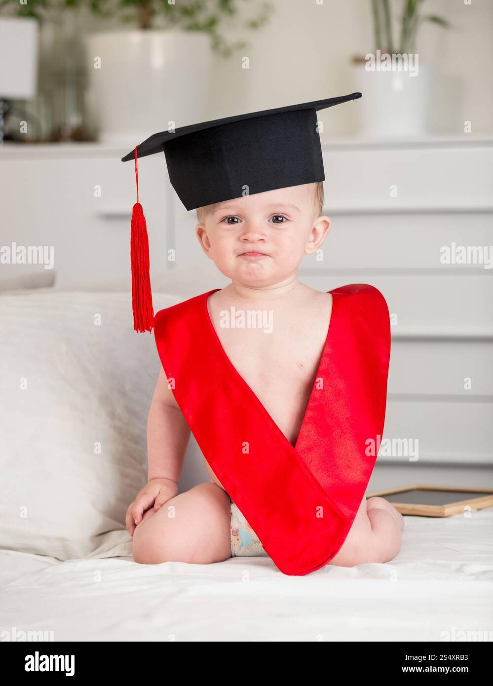 Portrait of adorable baby boy in graduation cap and red collar sitting ...