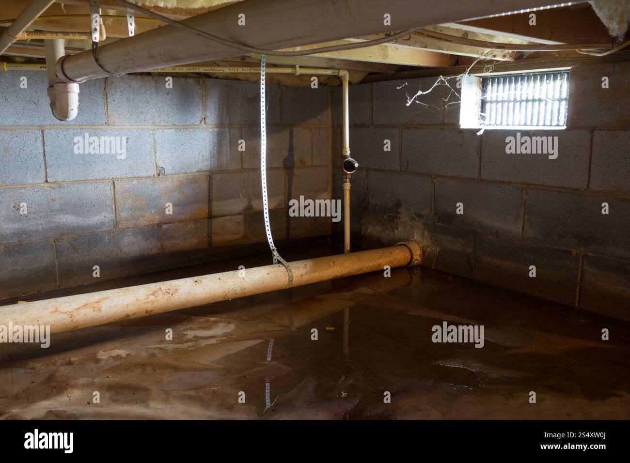 Flooded crawl space basement and pipes Stock Photo - Alamy