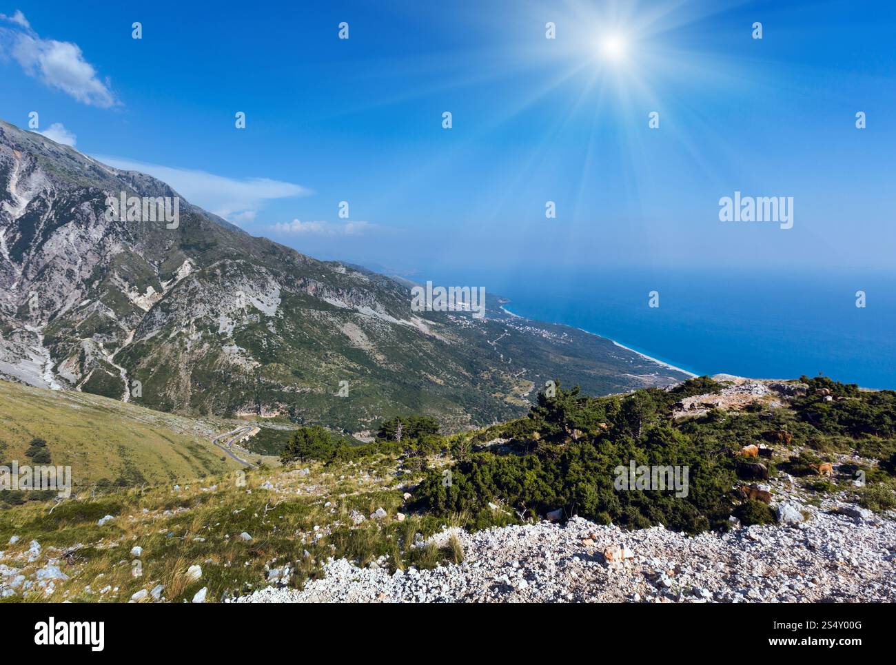 Summer Llogara pass sunshiny view with road, herd of goats on slope and ...