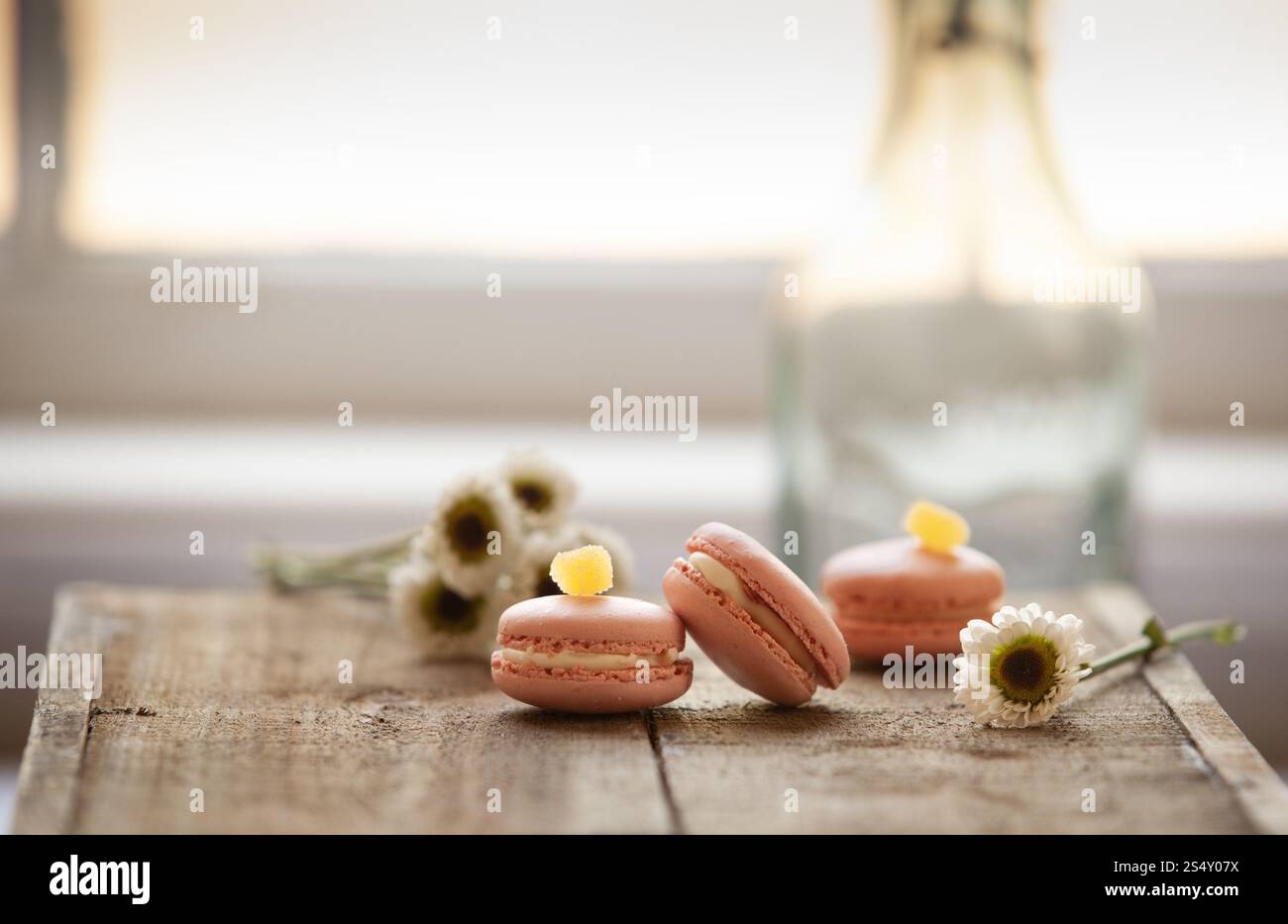 Fresh macaroons on pink hi-res stock photography and images - Alamy