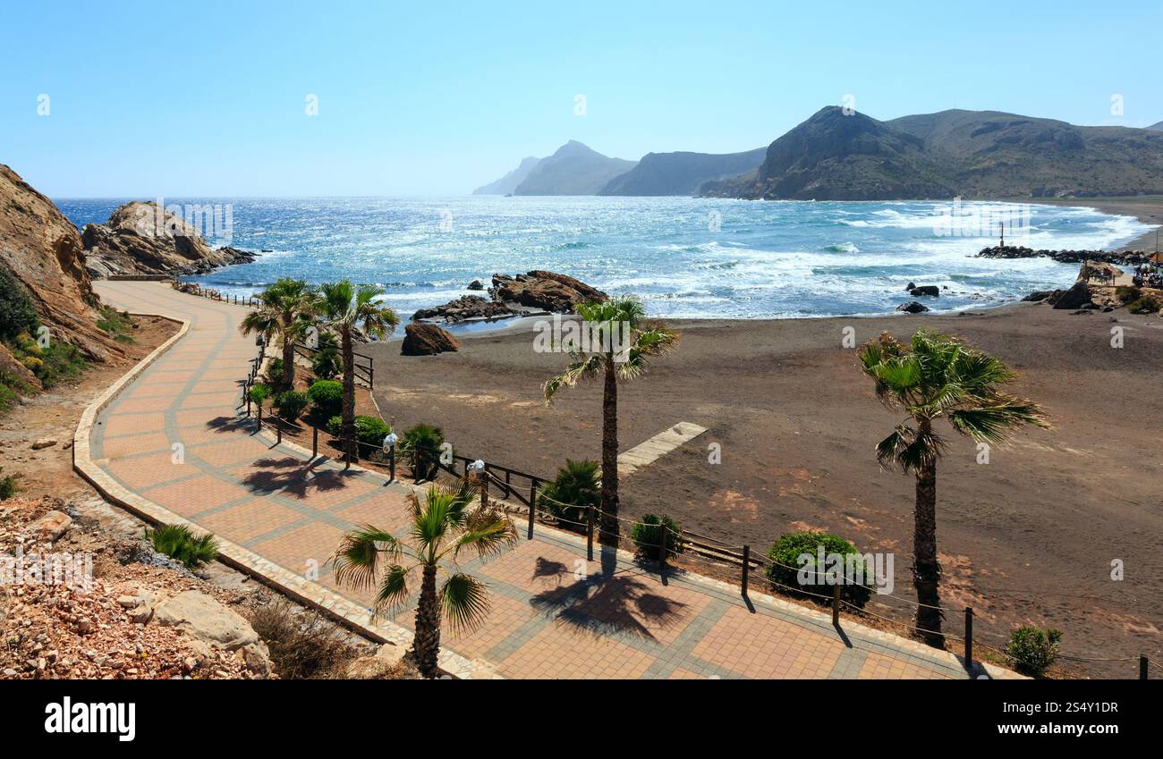 Mediterranean sea summer coastline view with beach, footpath and palm ...