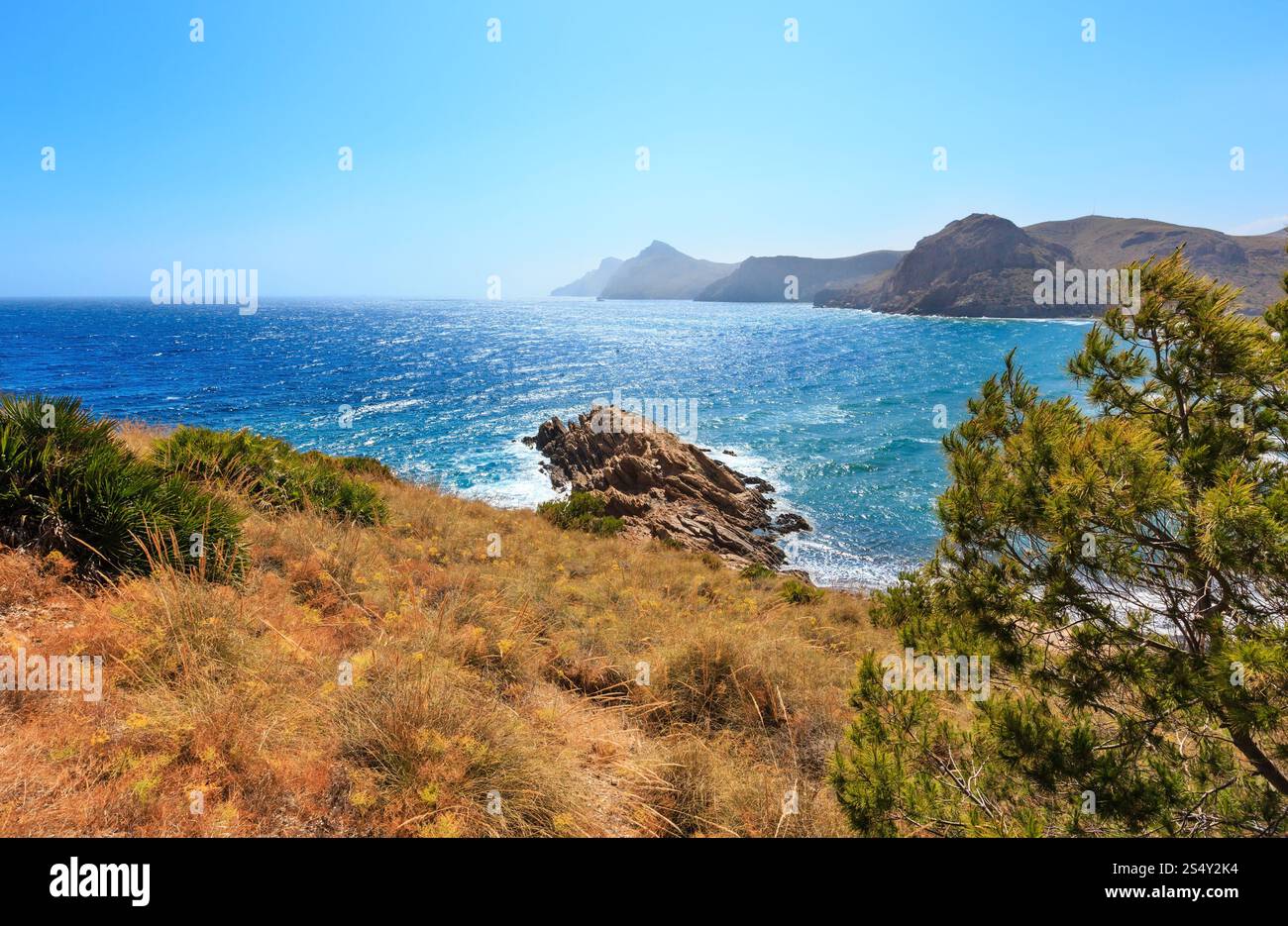 Mediterranean sea summer coastline view with pine tree in front ...