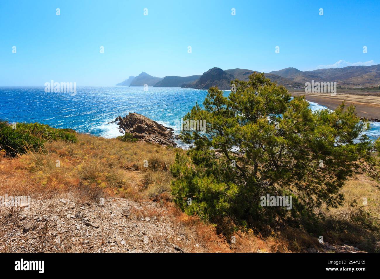 Mediterranean sea summer coastline view with beach and pine tree in ...
