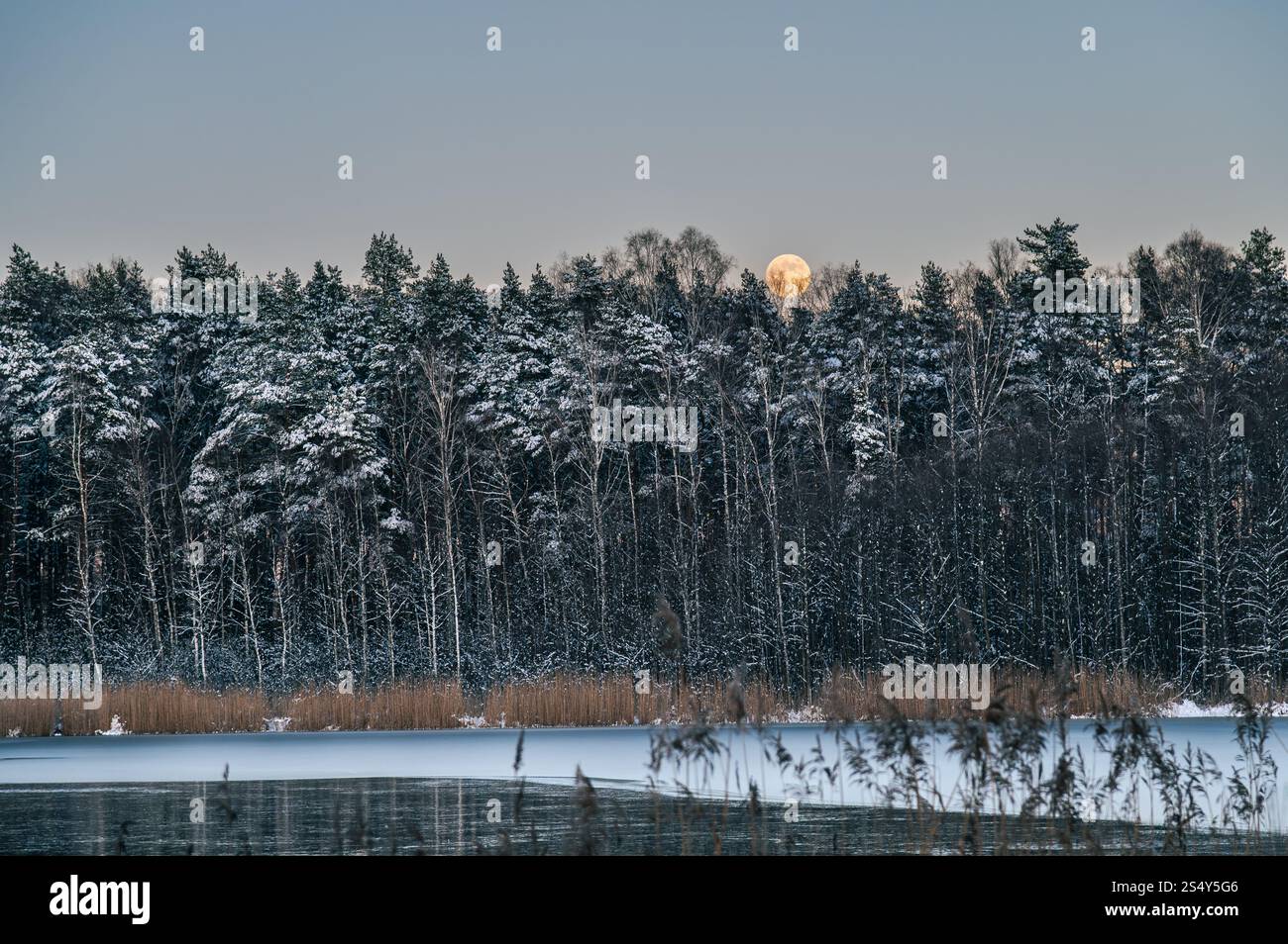 Moon rise over frozen forest lake at Winter Stock Photo - Alamy