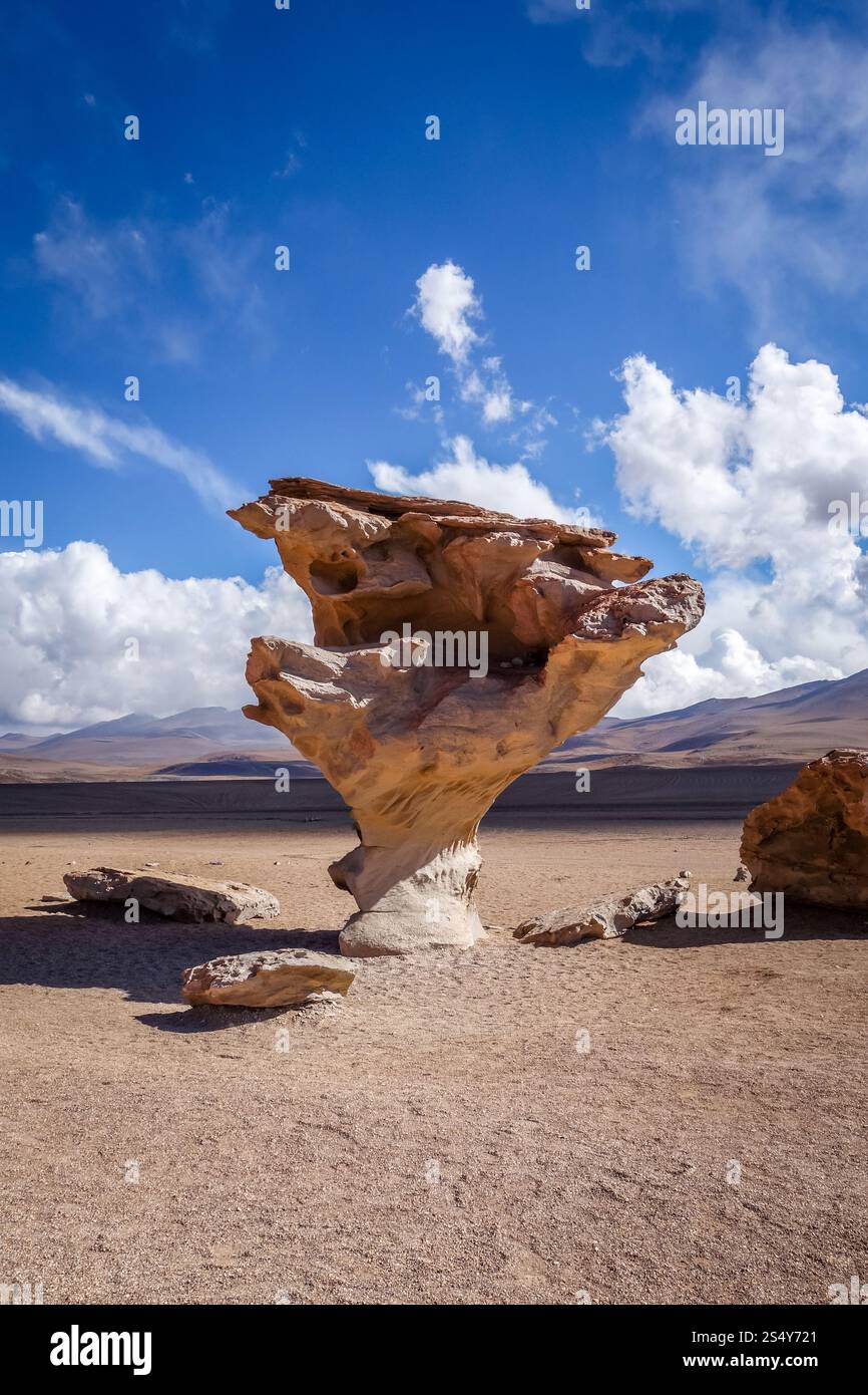 Arbol de Piedra in Siloli desert, sud Lipez reserva Eduardo Avaroa ...