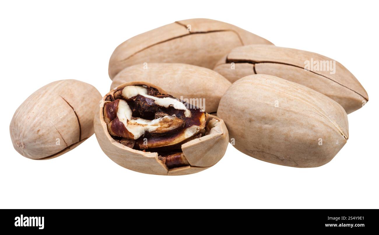 few pecan nuts in shell isolated on white background Stock Photo - Alamy