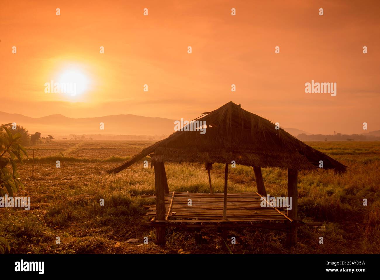 the landscape in the mornig fog in the province of Chiang Rai in North ...