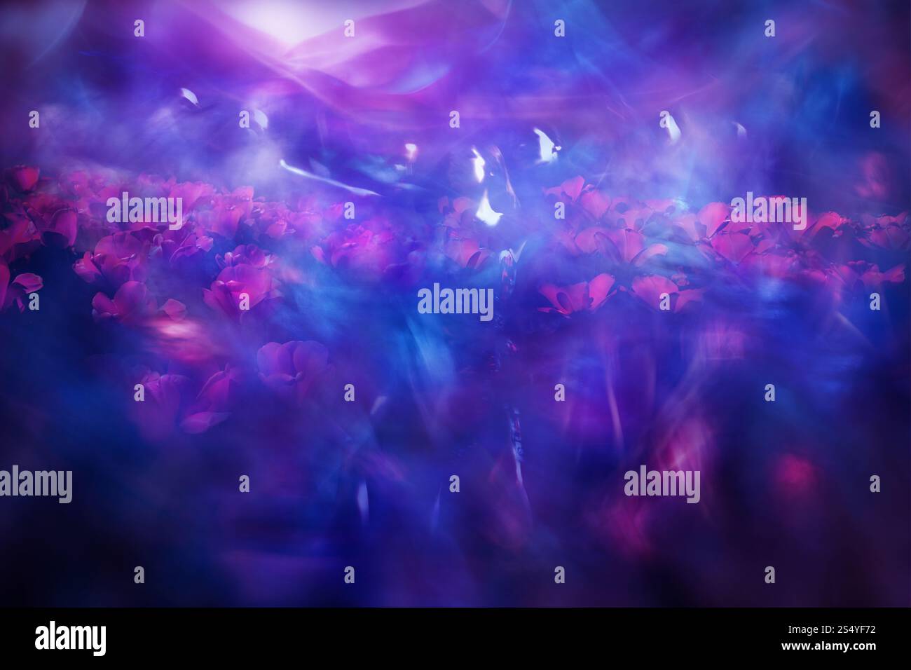 Projected scene with multiple light shapes of a woman, standing between ...