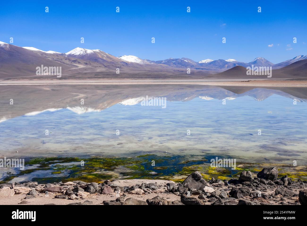 Clear altiplano laguna in sud Lipez reserva Eduardo Avaroa, Bolivia ...