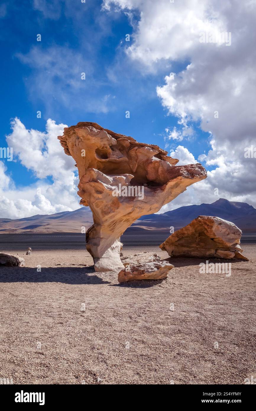 Arbol de Piedra in Siloli desert, sud Lipez reserva Eduardo Avaroa ...
