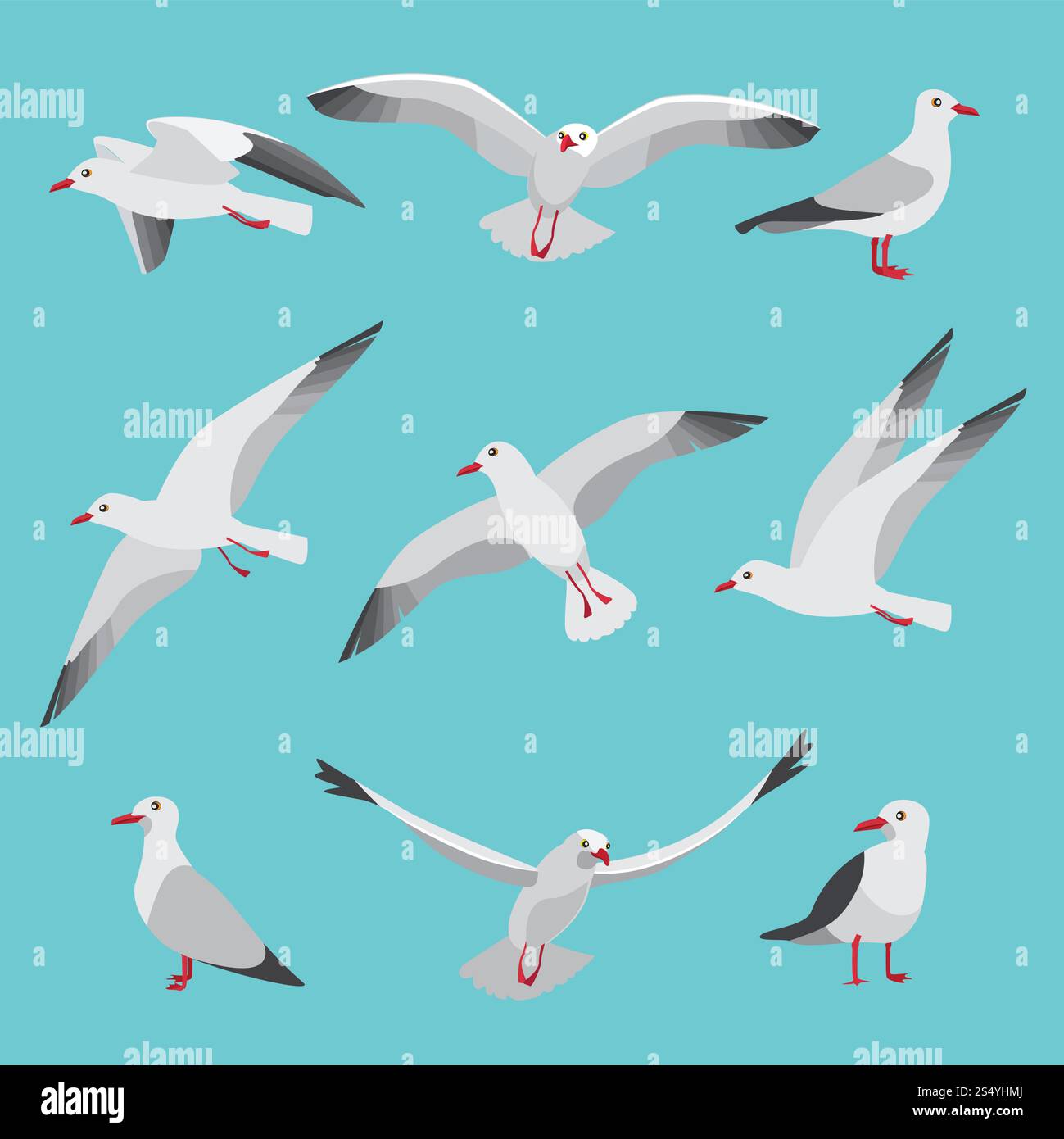 Set illustrations of atlantic seagulls in cartoon style. Pictures of ...