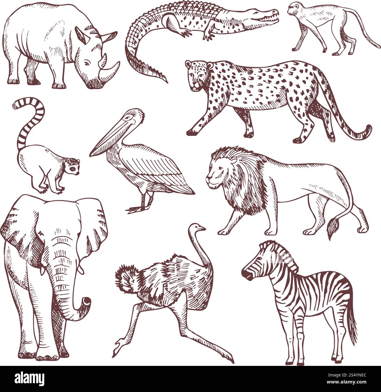 Hand drawn illustrations of african animals. Vector animal african ...