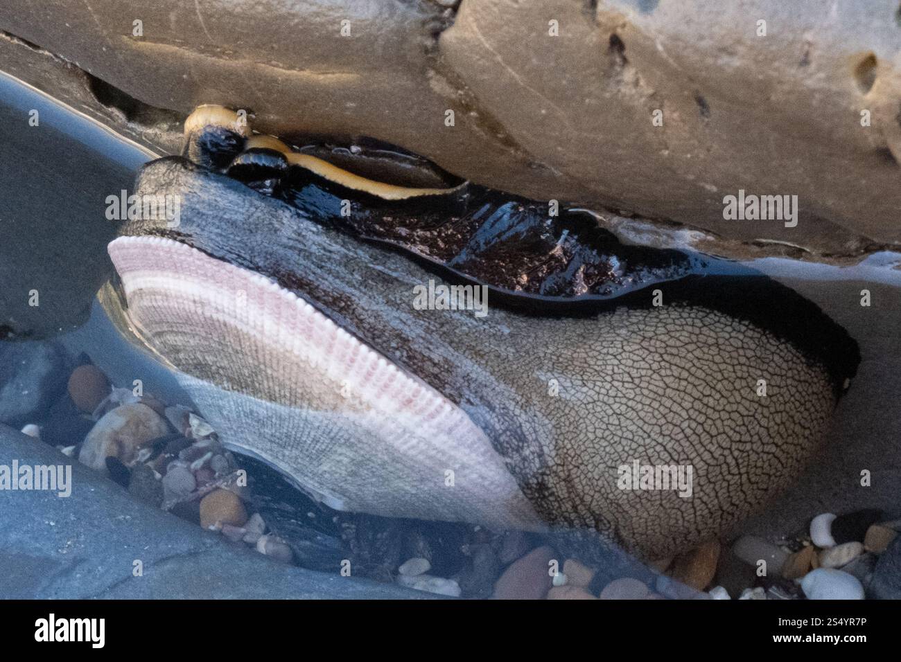 Giant keyhole hi-res stock photography and images - Alamy