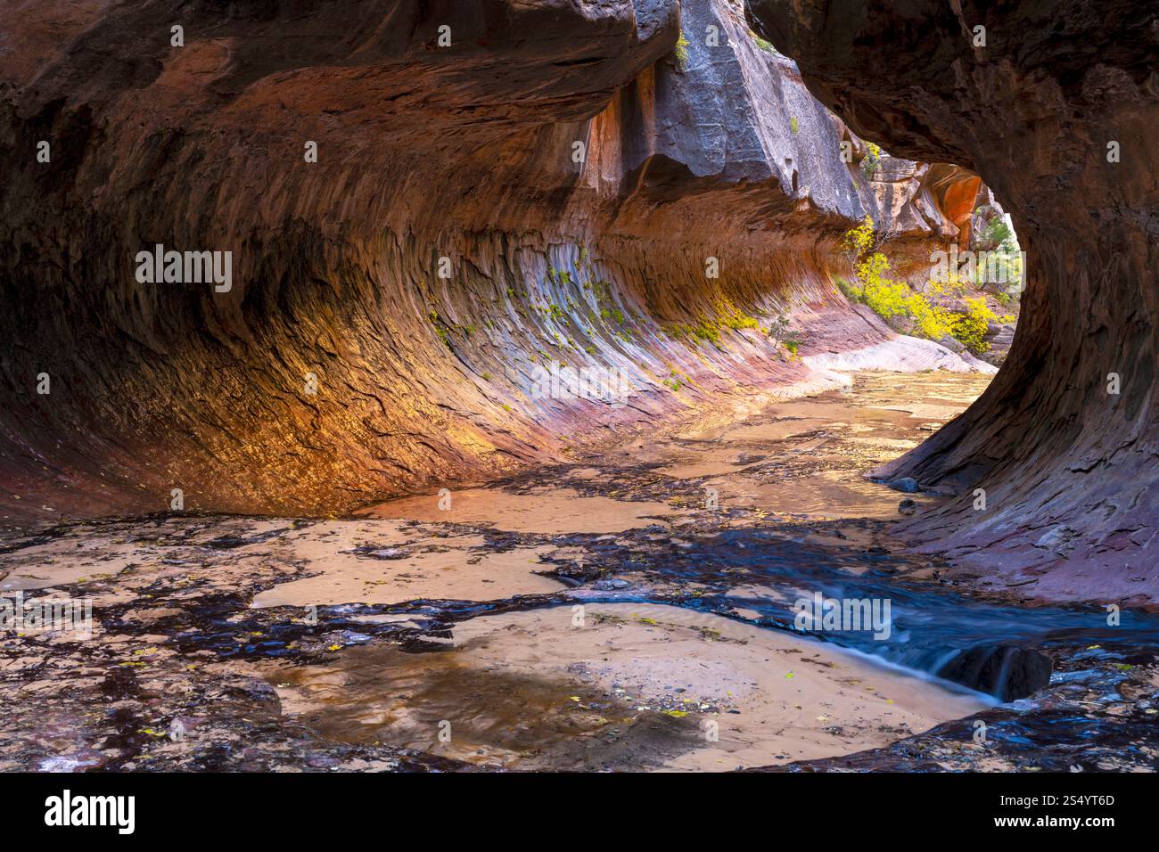View of the Left Fork of the North Creek, also known as The Subway ...